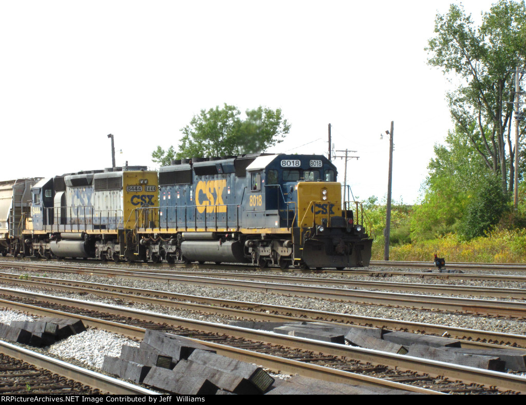 Untitled [www.rrpicturearchives.net]